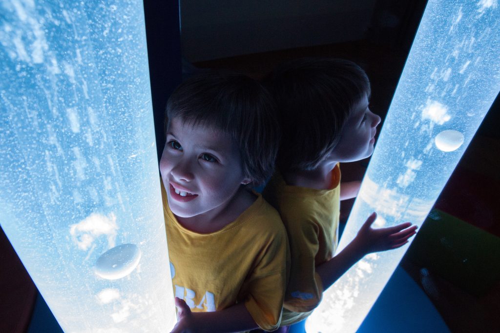 Great activities to do with a Bubble Tube - The Multisensory Blog