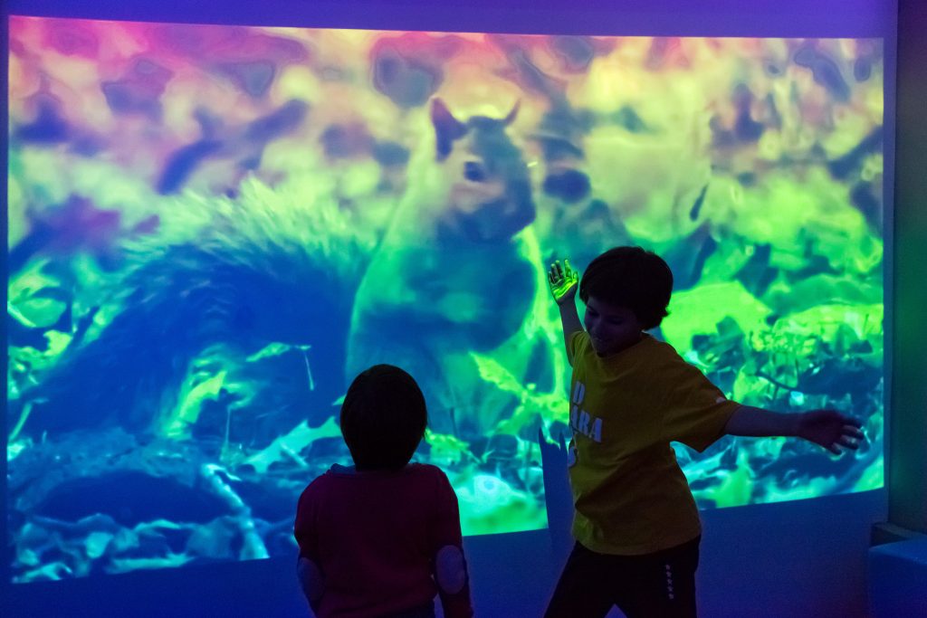 What is a Sensory Room? - The Multisensory Blog